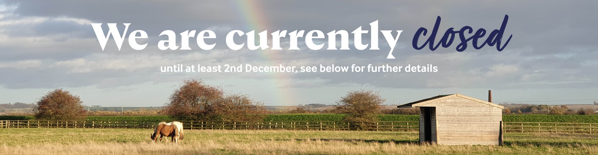 Home - Bransby Horses