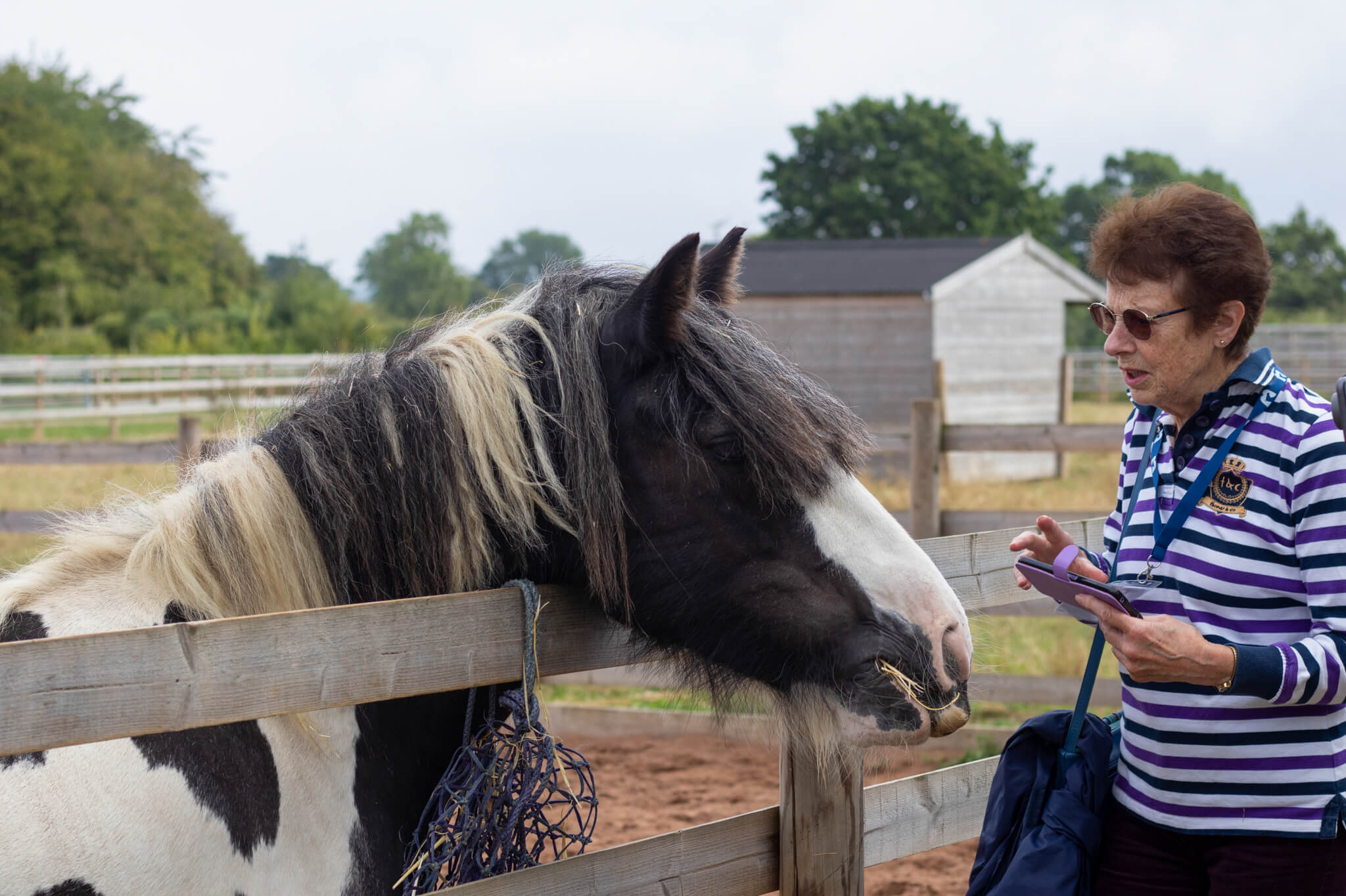 Special guests enjoy behind the scenes tour of Bransby Horses