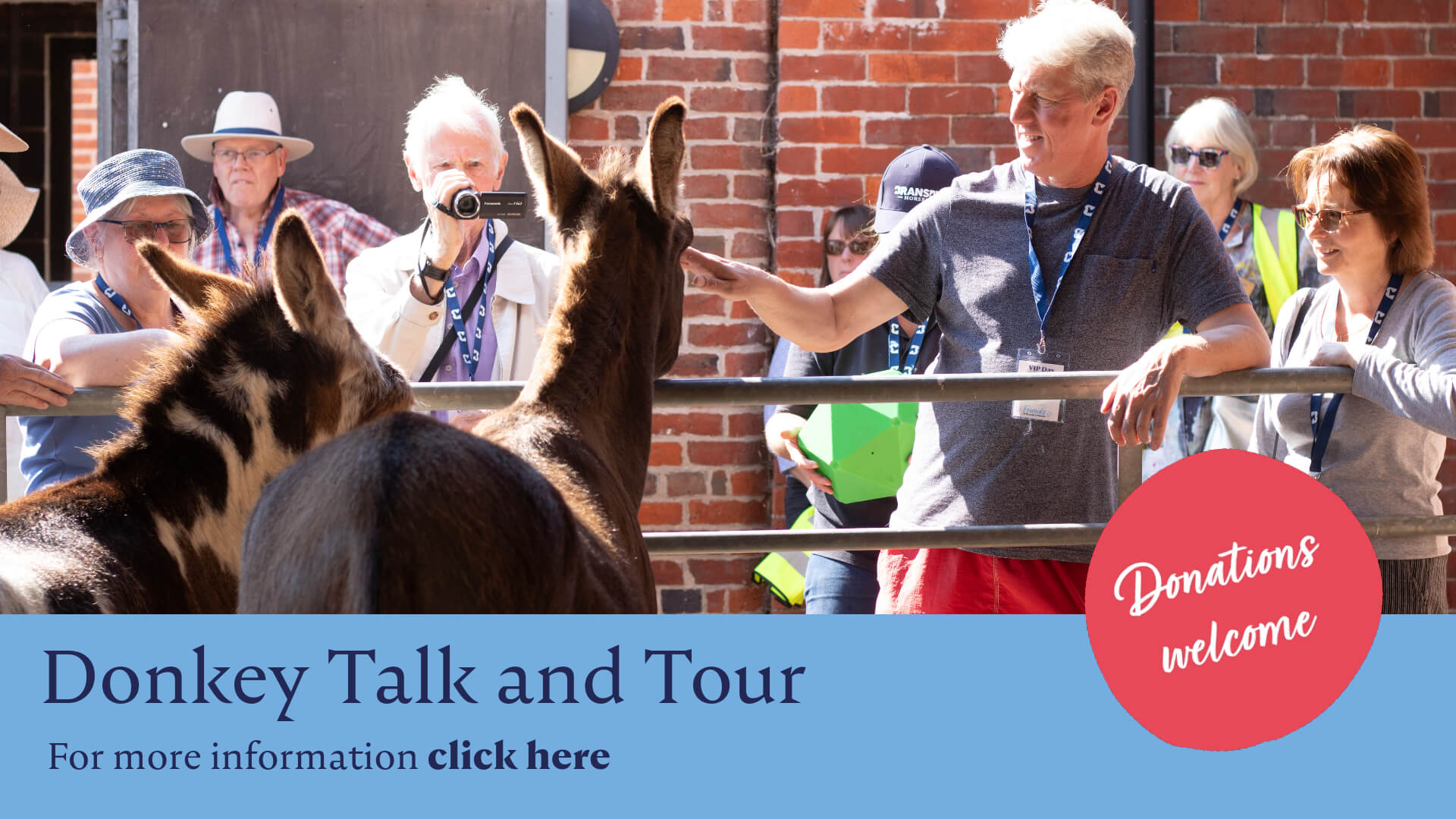 Visit Us - Bransby Horses