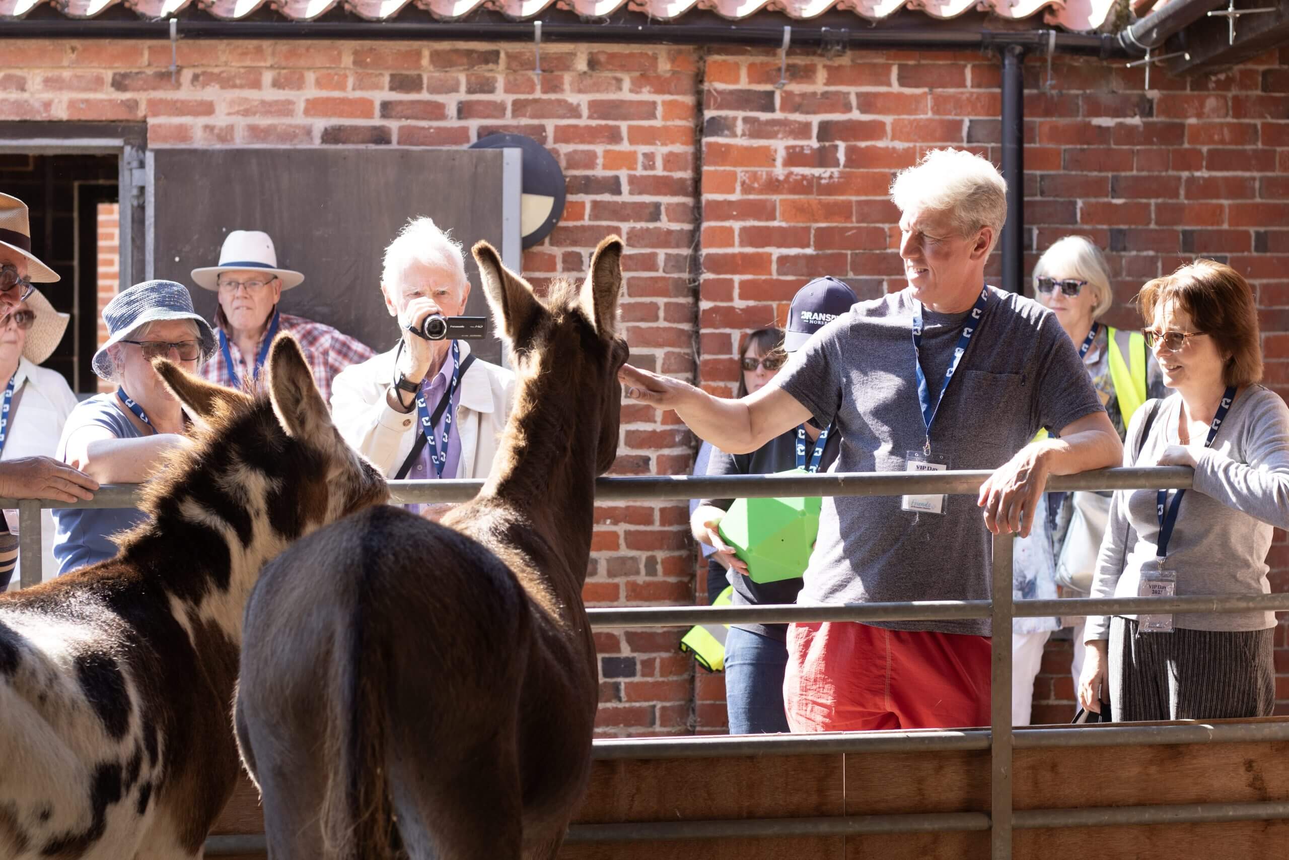 Talks and Tours - Bransby Horses